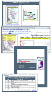 Patent Family Maps | IPVision, Inc.